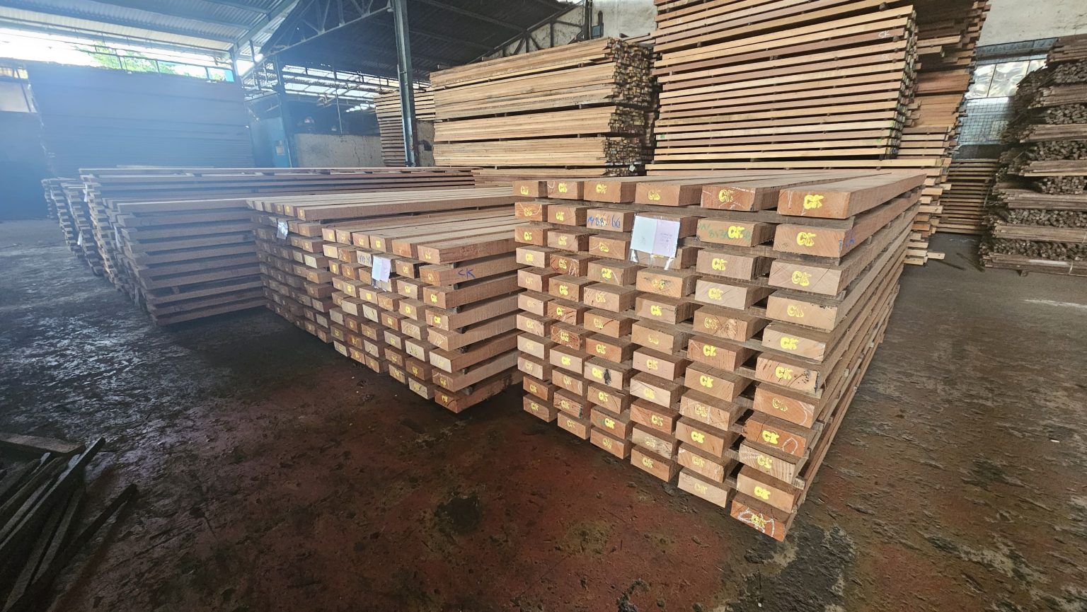 Daftar Harga Kayu Terbaru 2026 (Jati, Merbau, Meranti, Kamper) - Citra ...